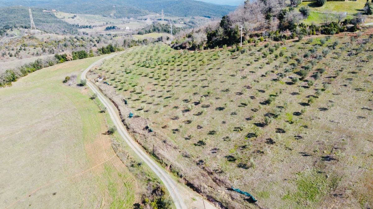 Terreno agricolo in vendita a Gavorrano
