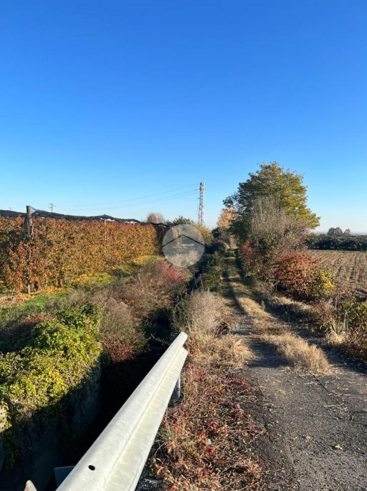 Terreno agricolo in vendita a Barge