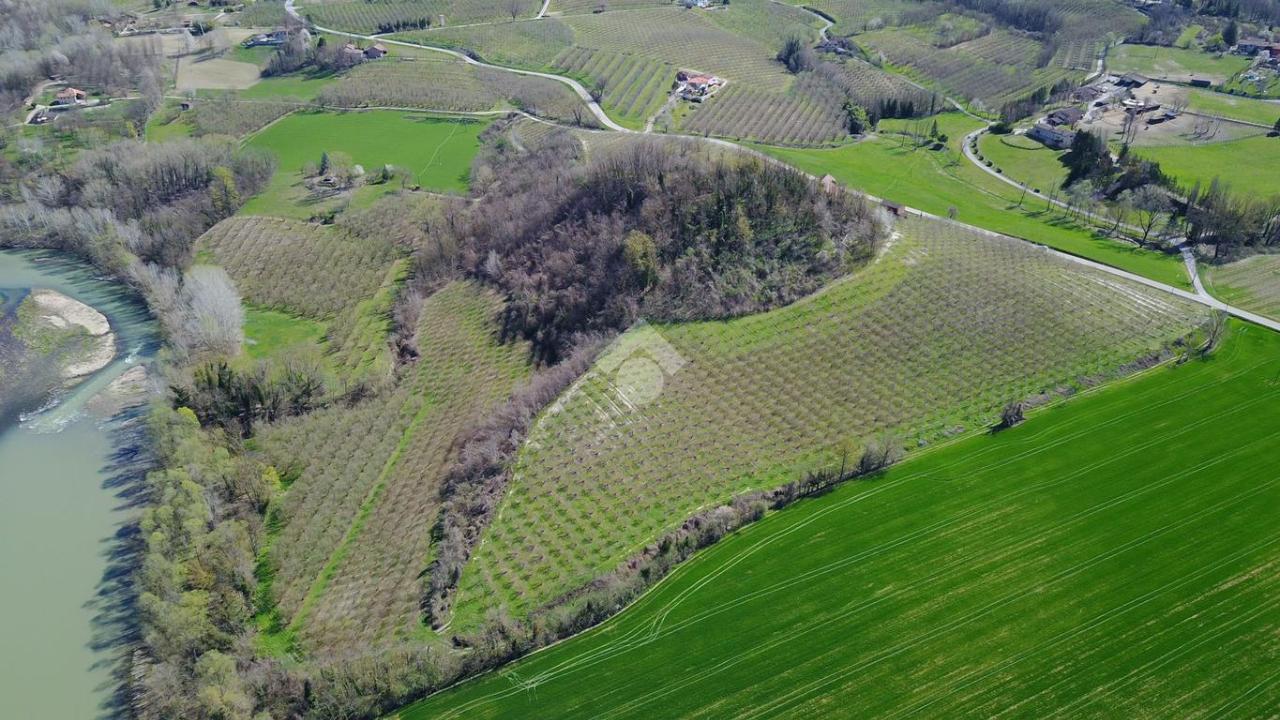 Terreno agricolo in vendita a Cherasco