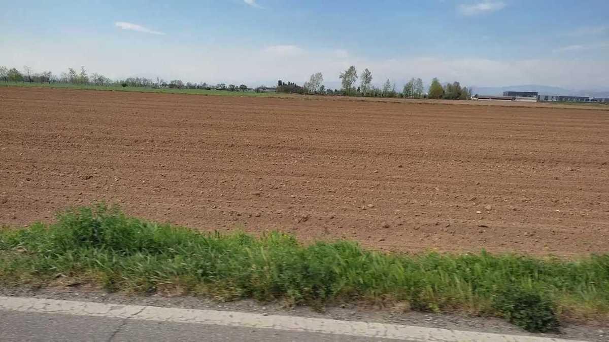 Terreno agricolo in vendita a Venafro