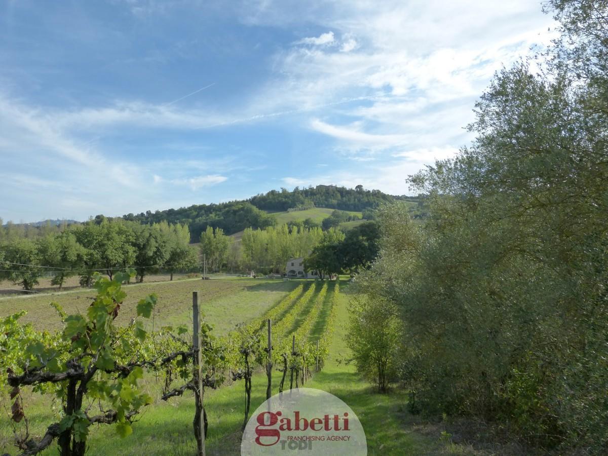 Terreno agricolo in vendita a Fratta Todina