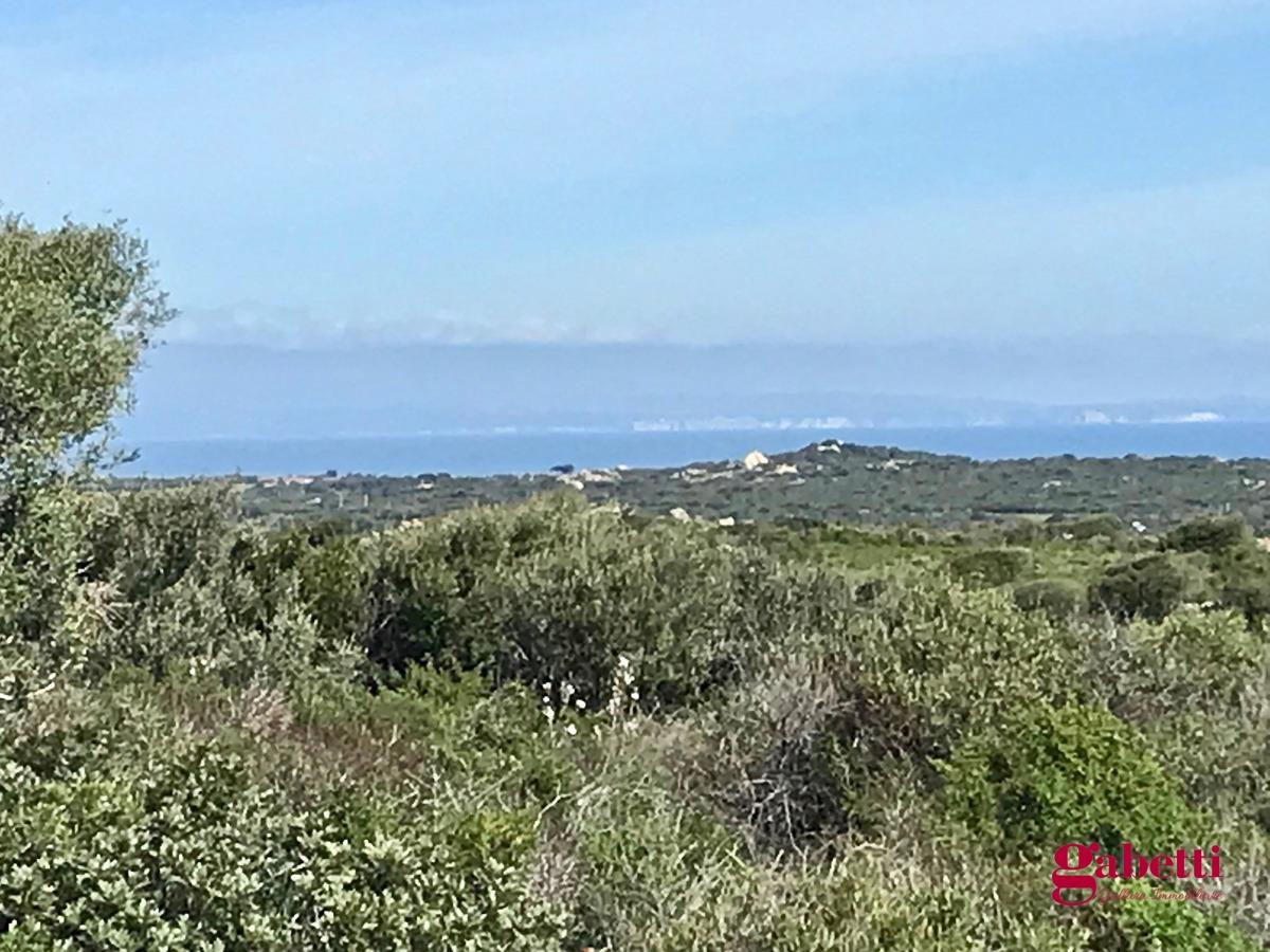 Terreno agricolo in vendita a Trinità d'Agultu e Vignola