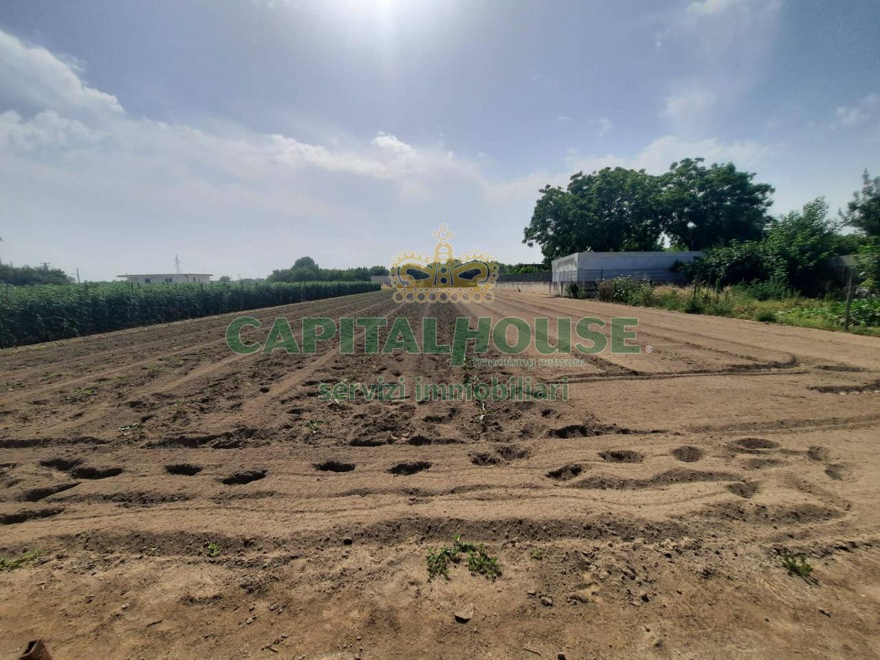 Terreno agricolo in vendita a Marigliano