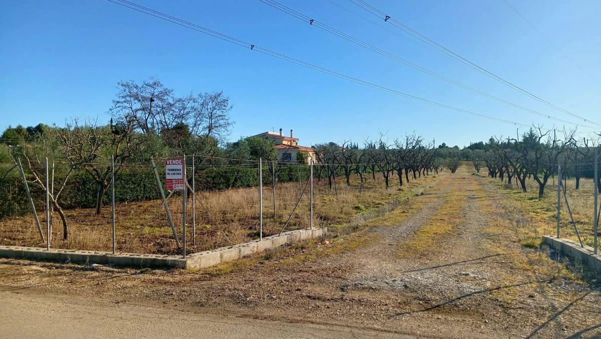 Terreno agricolo in vendita a Corato