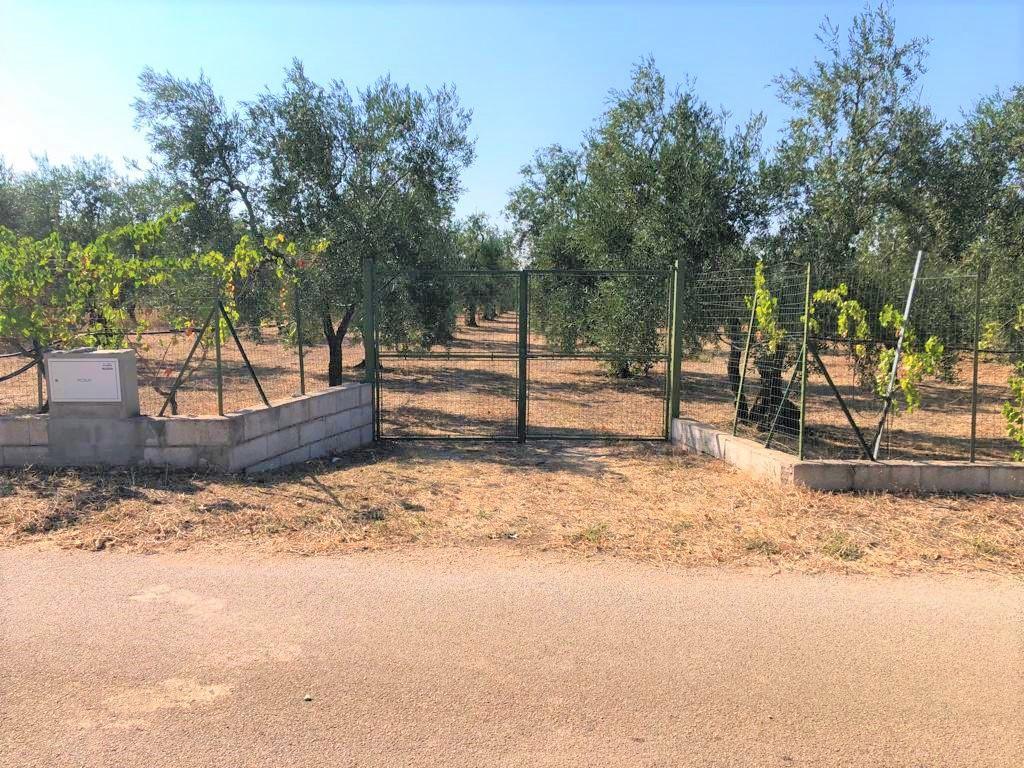 Terreno agricolo in vendita a Corato