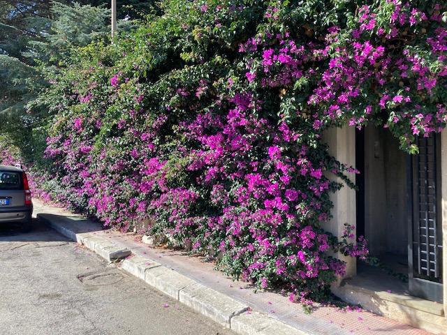 Villa in vendita a Brindisi