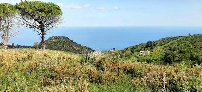 Terreno agricolo in vendita a Cefalu'