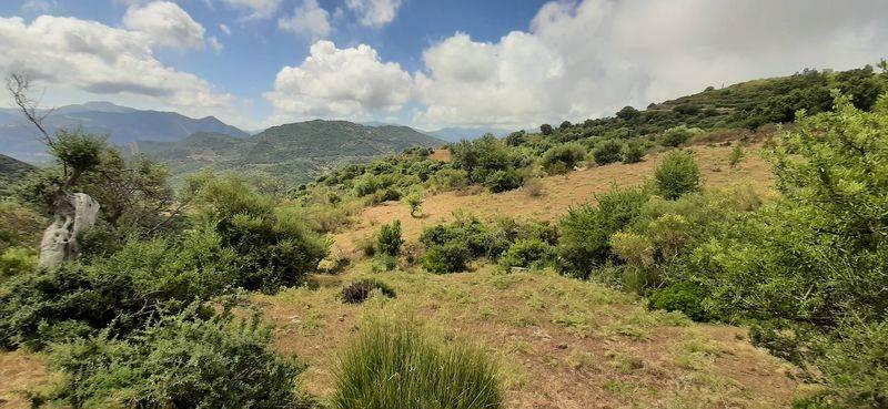 Terreno edificabile residenziale in vendita a Pollina