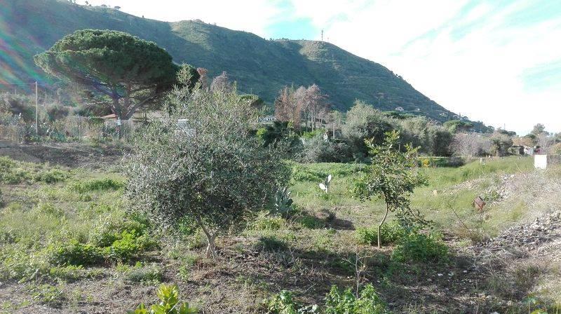 Terreno agricolo in affitto a Cefalu'