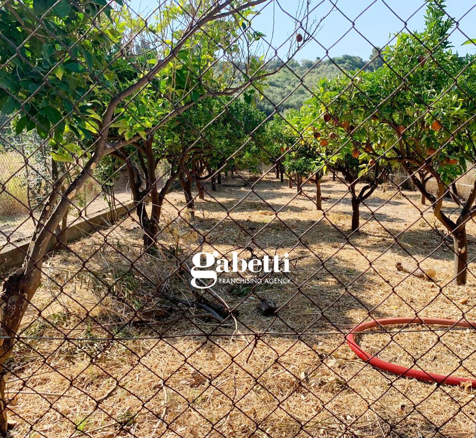 Terreno agricolo in vendita a Lascari