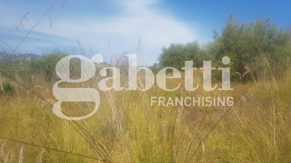 Terreno agricolo in vendita a Caccamo