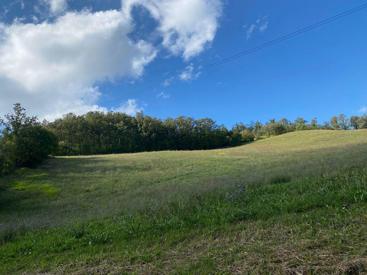 Terreno agricolo in vendita a Assisi