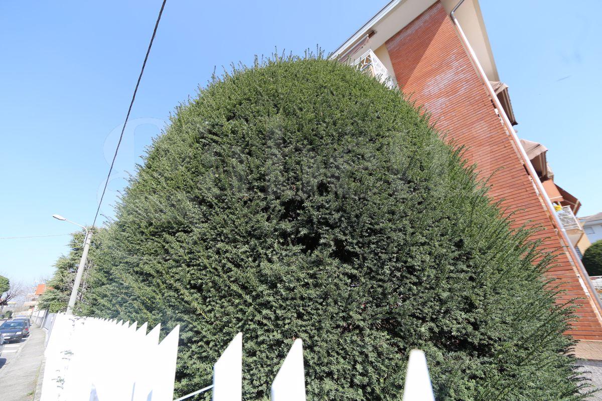 Box in vendita a Busto Arsizio