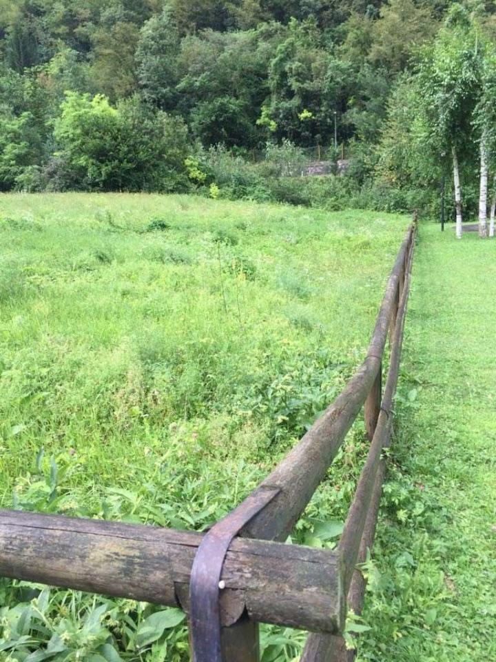 Terreno agricolo in vendita a Grigno