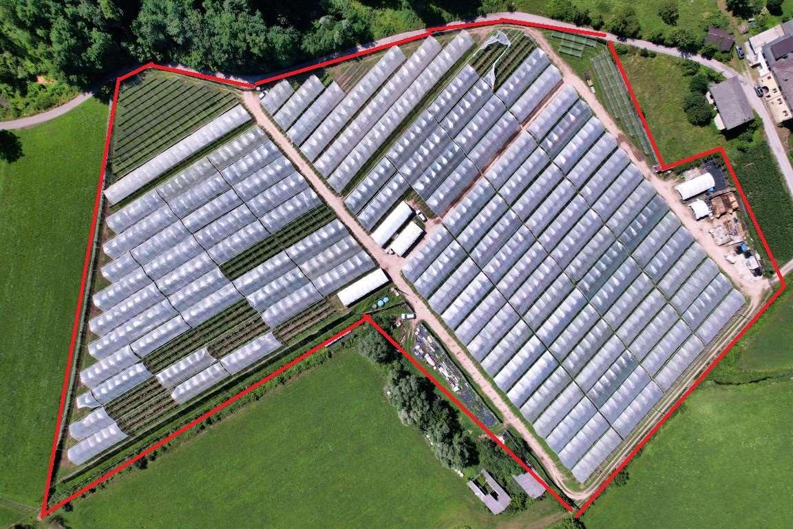 Terreno agricolo in vendita a Borgo Valsugana