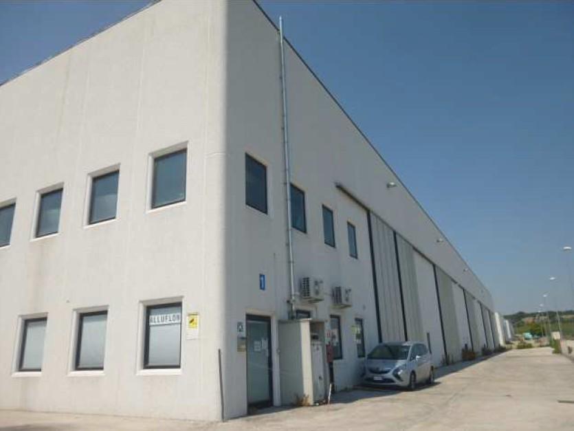 Capannone in vendita a Trecastelli