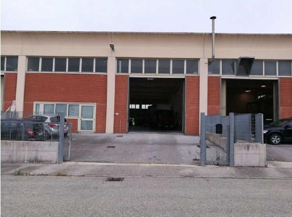 Capannone in vendita a San Costanzo
