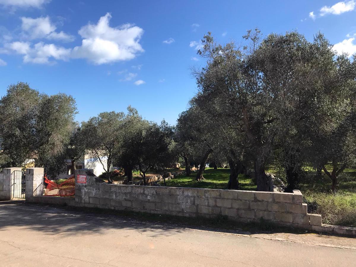 Terreno edificabile in vendita a Diso