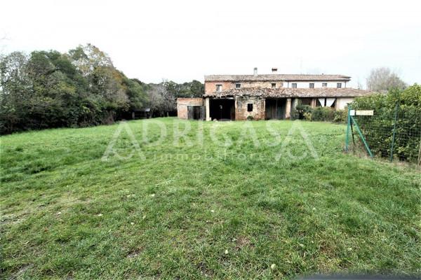 Terratetto unifamiliare in vendita a Savignano Sul Rubicone