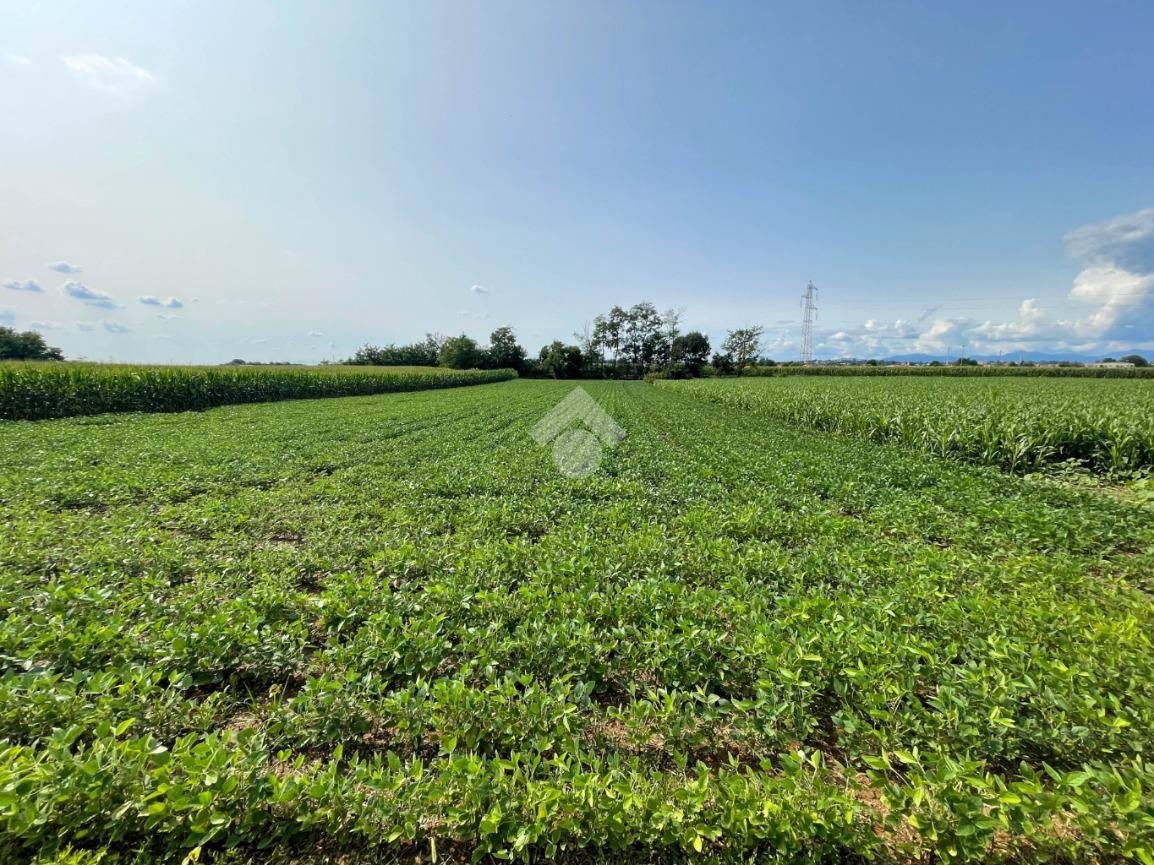 Terreno agricolo in vendita a Casatenovo