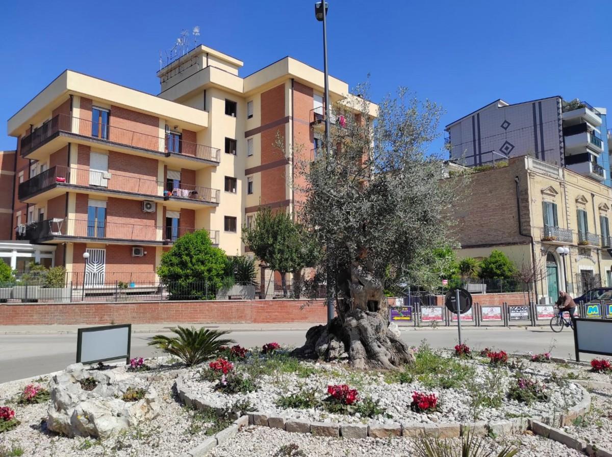 Appartamento in vendita a San Severo