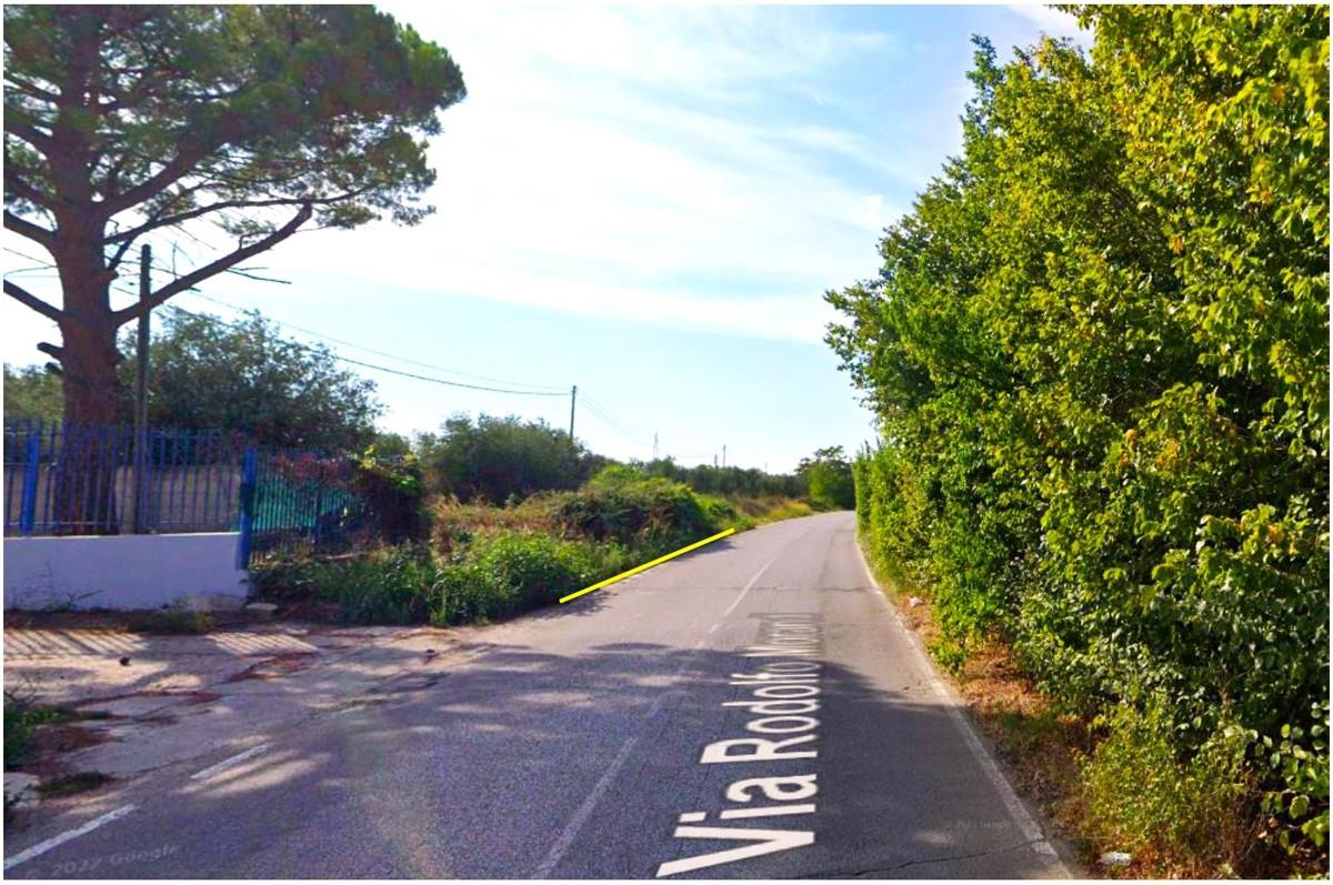 Terreno agricolo in vendita a San Severo