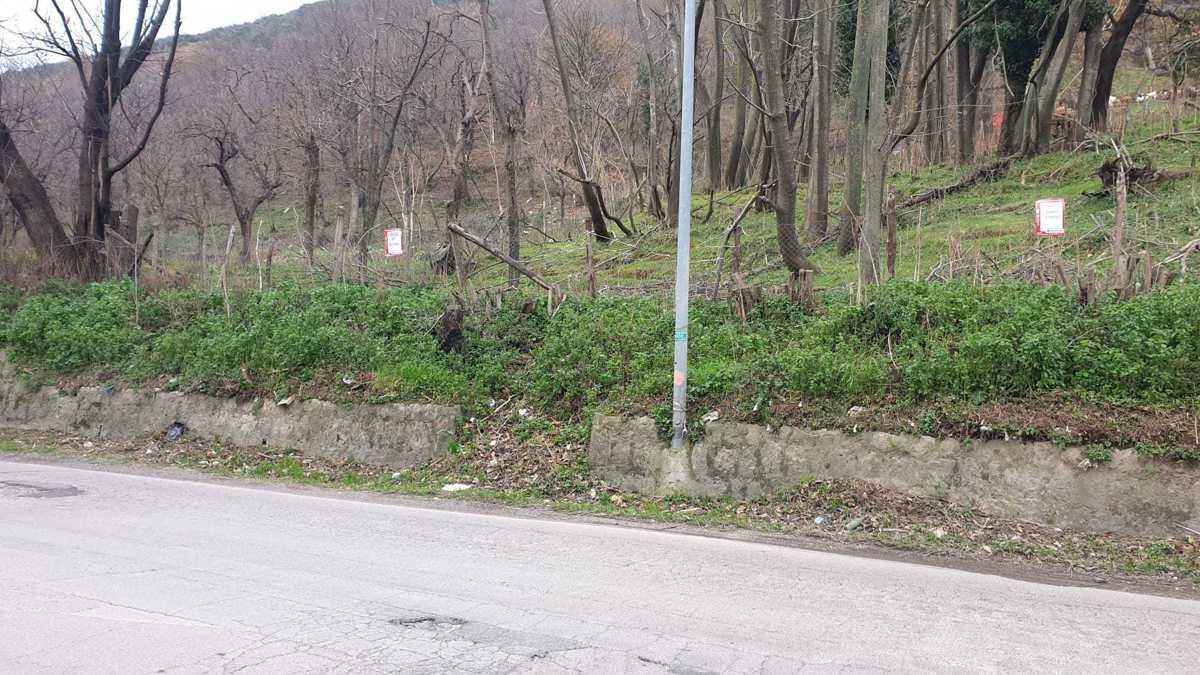 Terreno agricolo in vendita a Mercato San Severino
