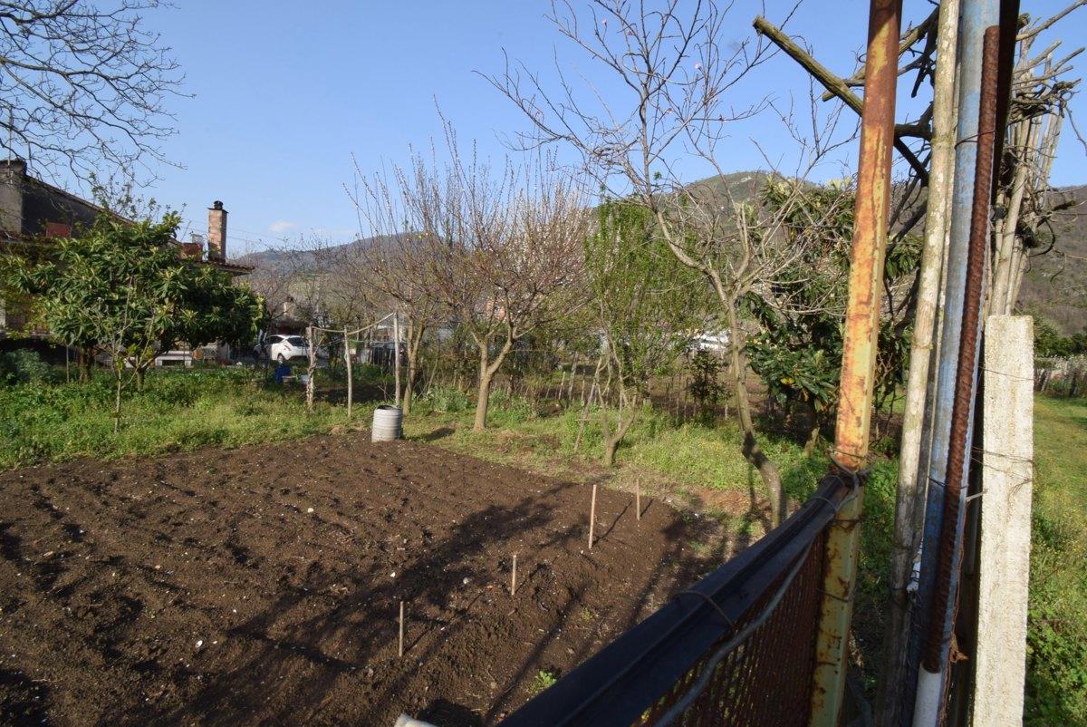 Terreno agricolo in Via Zambrano 100, Siano