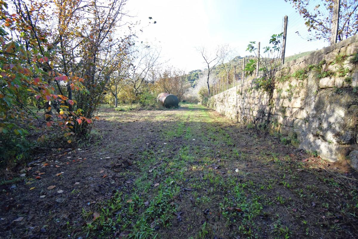 Terreno agricolo in vendita a Castel San Giorgio