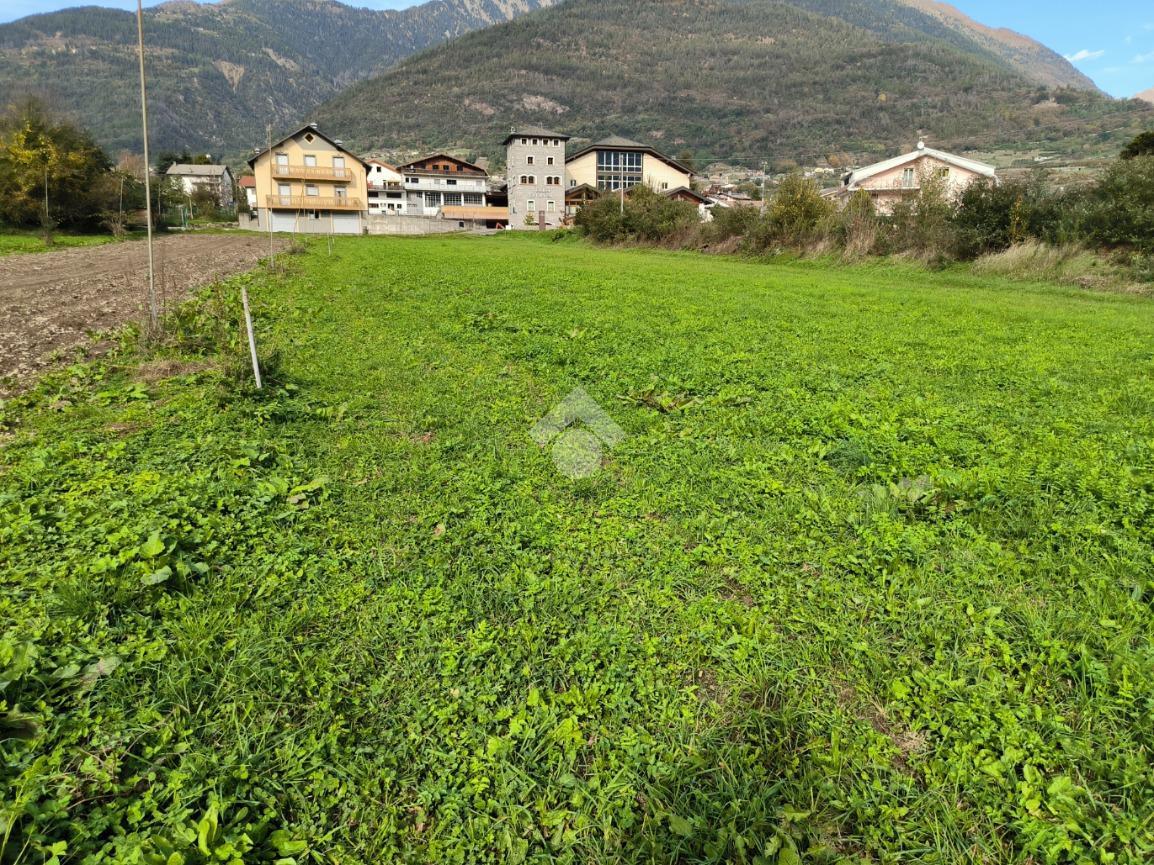 Terreno edificabile in vendita a Chiuro