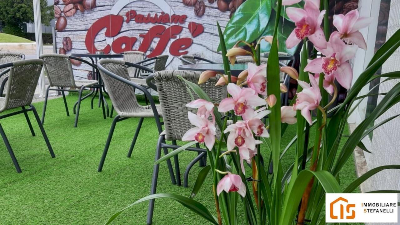 Bar in vendita a Isernia