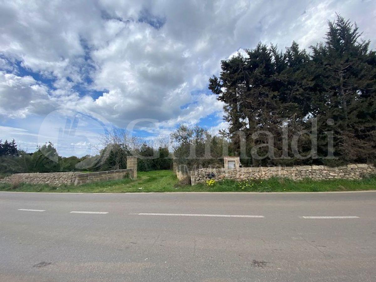 Terreno agricolo in Strada Provinciale Alezio Sannicola 1, Alezio