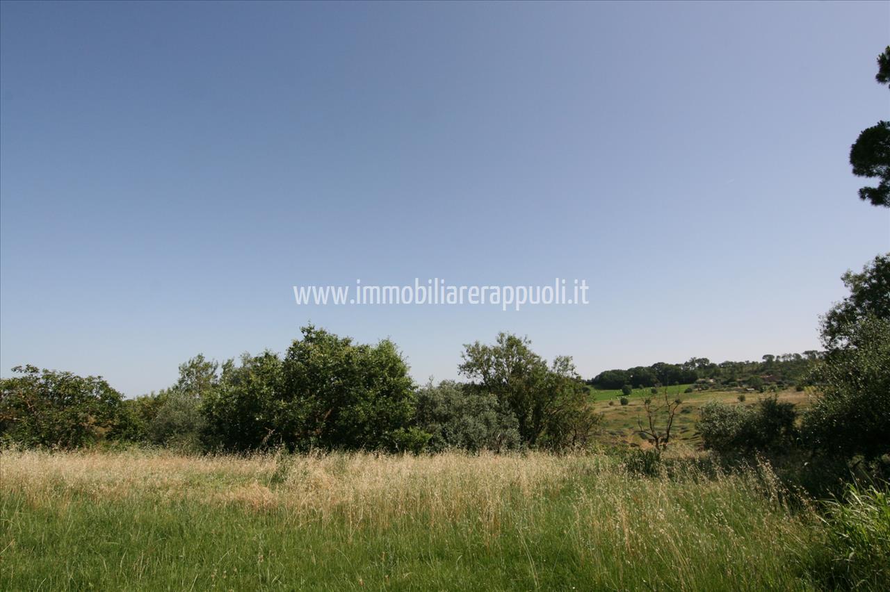 Casale in vendita a Torrita Di Siena