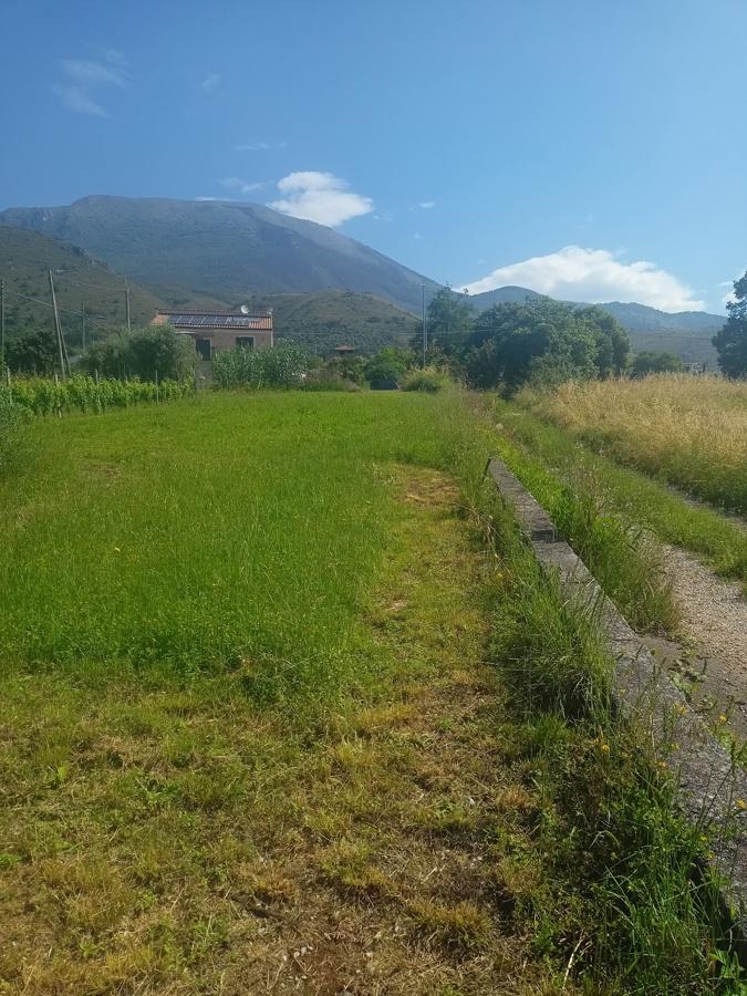 Terreno agricolo in vendita a Piedimonte San Germano