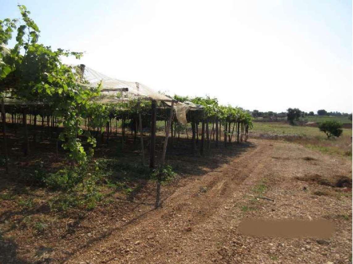Terreno agricolo in vendita a Polignano A Mare