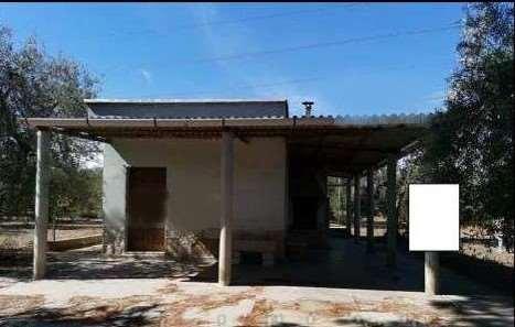 Terreno agricolo in vendita a Andria