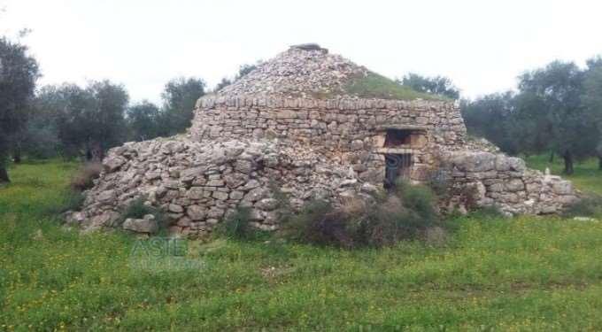 Terreno agricolo in vendita a Terlizzi