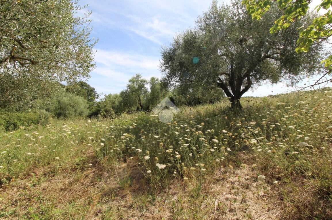 Terreno agricolo in vendita a Monterotondo