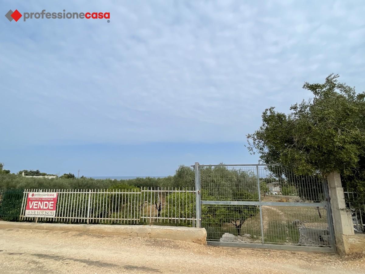 Terreno agricolo in vendita a Mola Di Bari