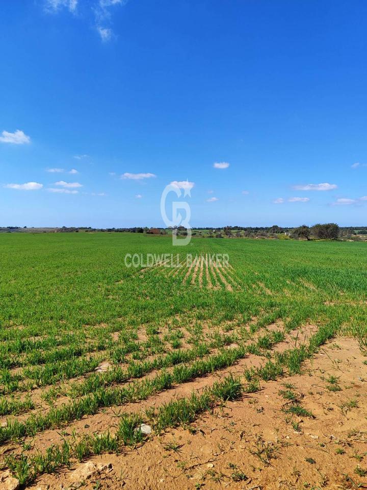 Terreno agricolo in vendita a Acate