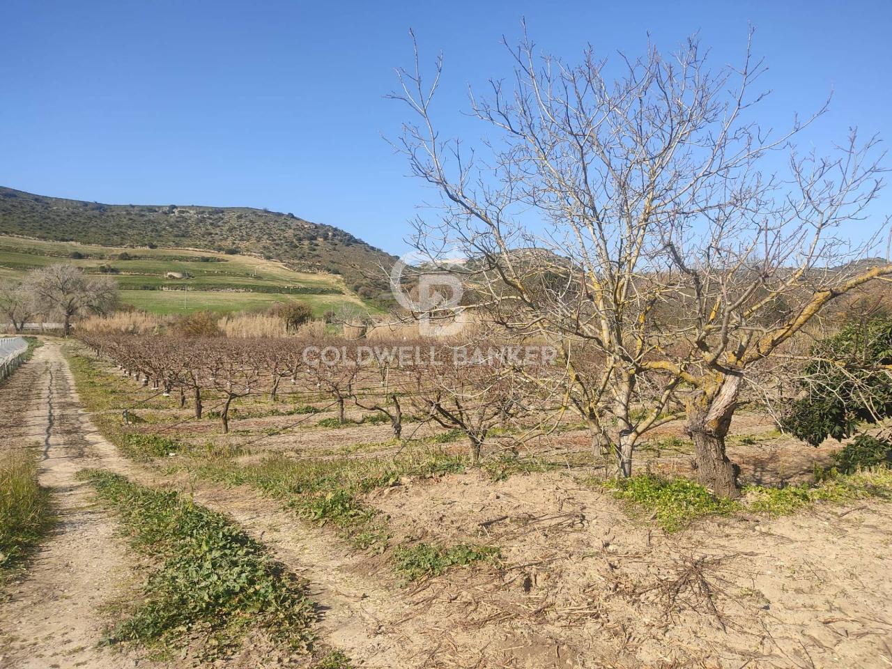 Terreno agricolo in vendita a Chiaramonte Gulfi