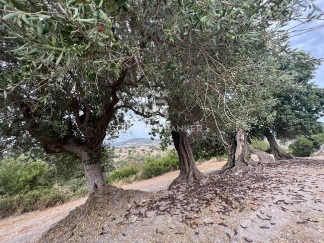Terreno agricolo in vendita a Ragusa