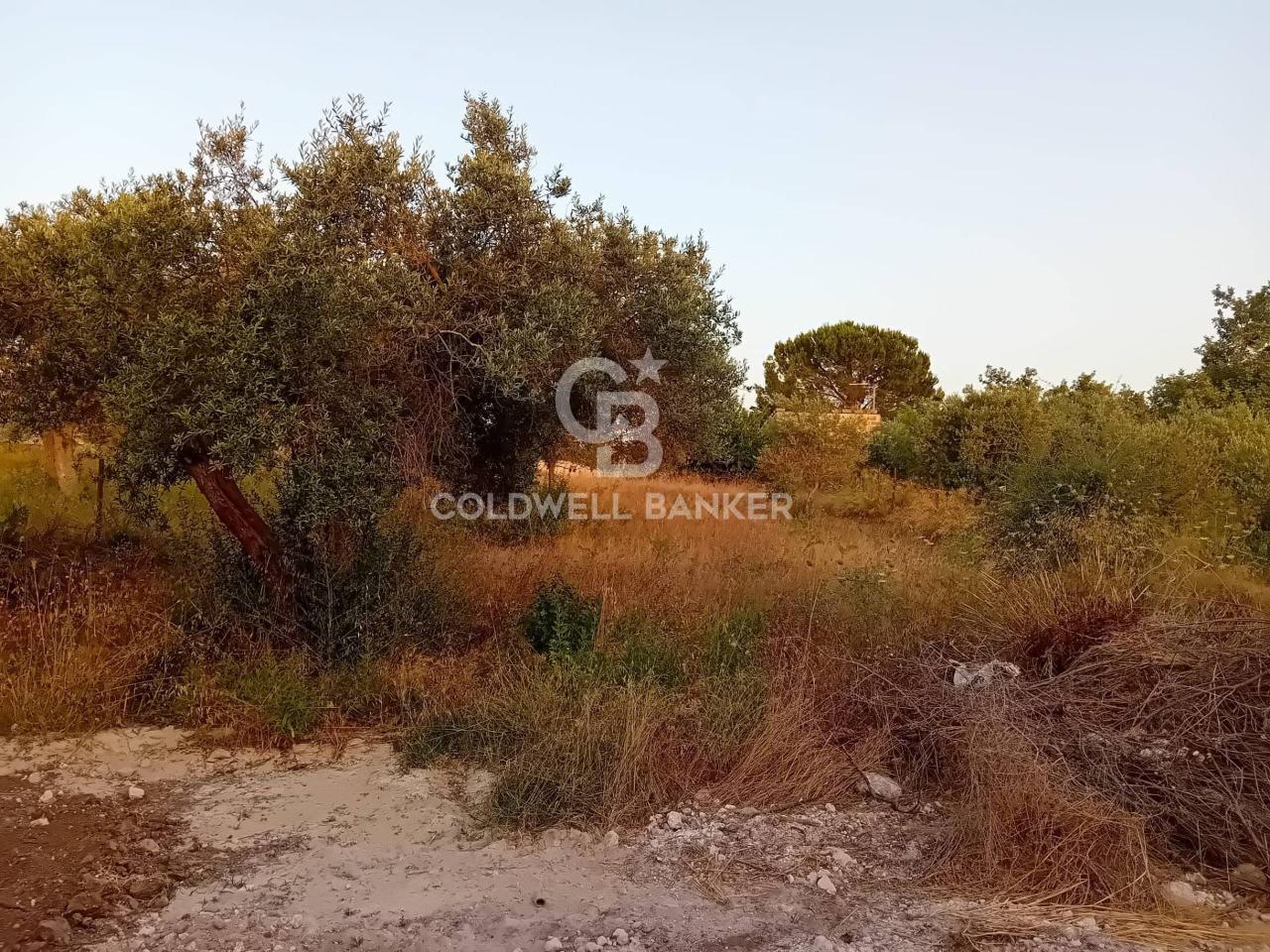 Villa in vendita a Chiaramonte Gulfi