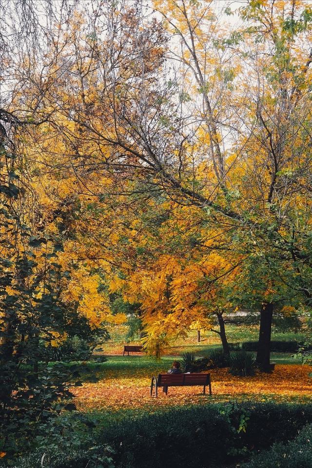 Appartamento in vendita a Jesi