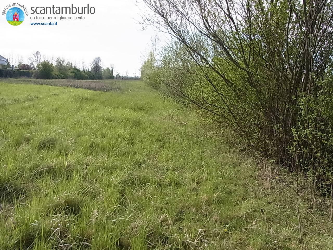 Terreno edificabile in vendita a San Biagio Di Callalta