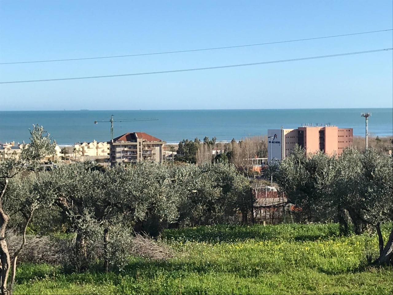 Terreno agricolo in vendita a Vasto