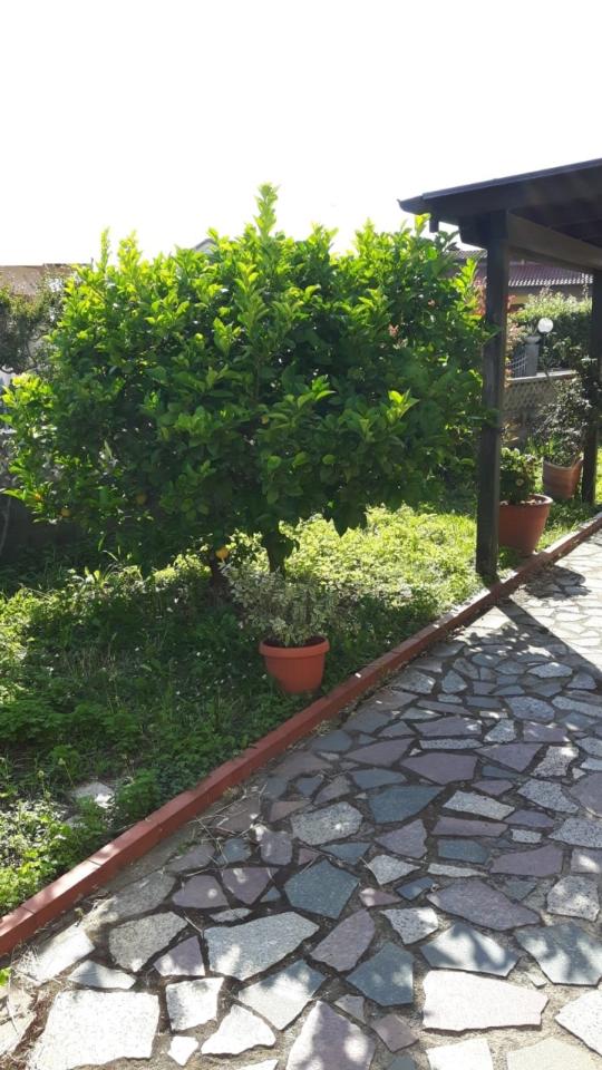 Casa indipendente in vendita a Carrara