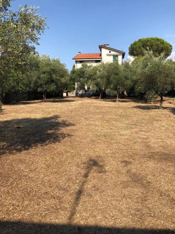 Villa a schiera in vendita a Sarzana