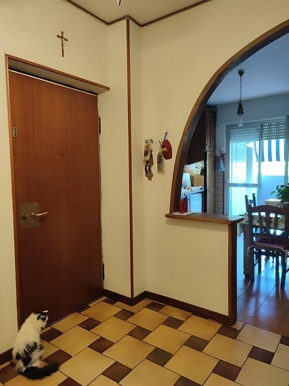 Appartamento in vendita a Carrara