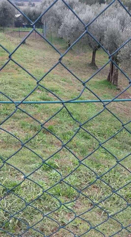 Terreno edificabile residenziale in vendita a Corciano